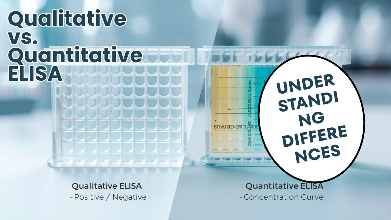 Qualitative vs Quantitative ELISA | BetaLifeSci