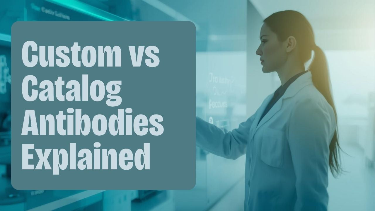 Custom vs Catalog Antibodies for Non-Model Species