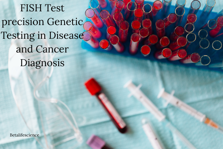FISH Test: Precision Genetic Cancer Diagnosis