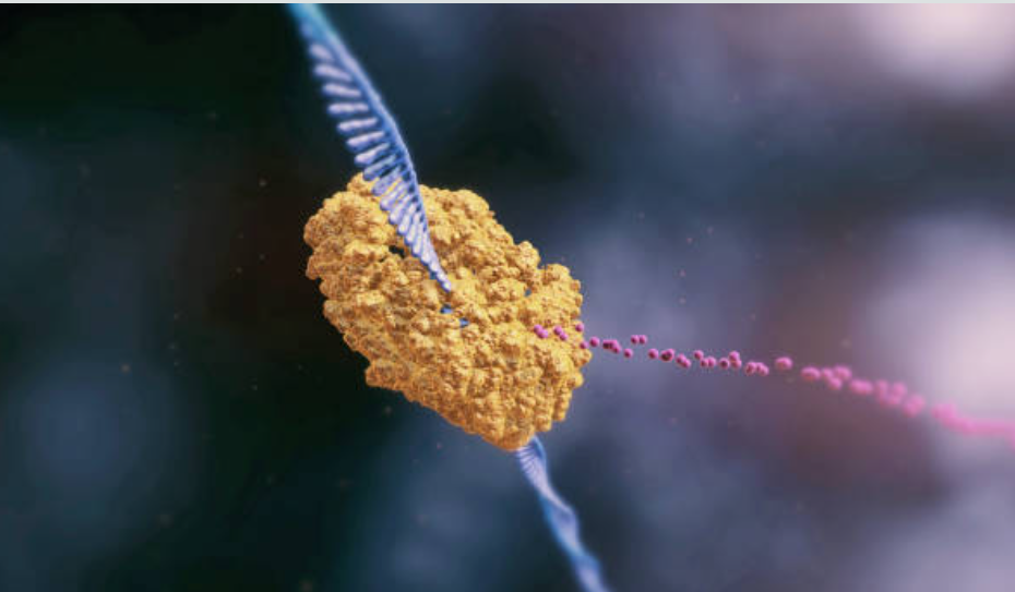 Application and Progress of Recombinant Protein Technology in Therapeu